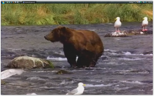 Wait, How do I Turn on DreamScene Again?